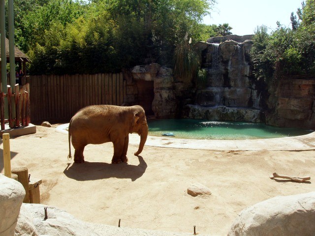 Photo 23: Elephant exhibit - Copyright © 04/2007 by Lora and Kevin Nehring