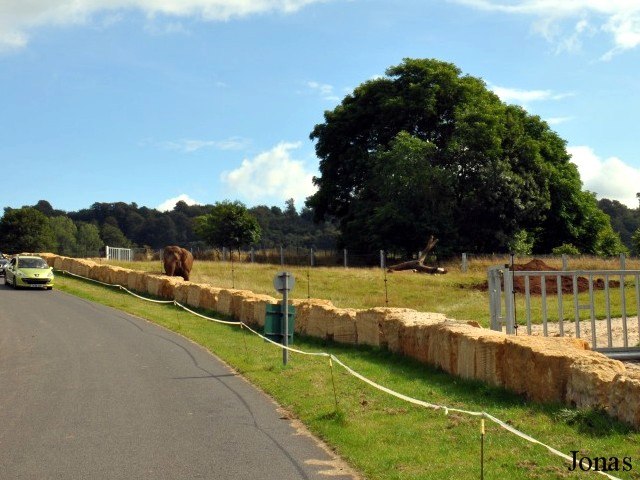 Photo 15: Elephant exhibit - Copyright © 09/2013 by Jonas Livet